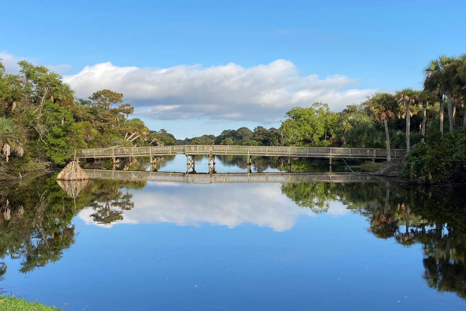 10 Best Places to Visit in South Carolina in Winter