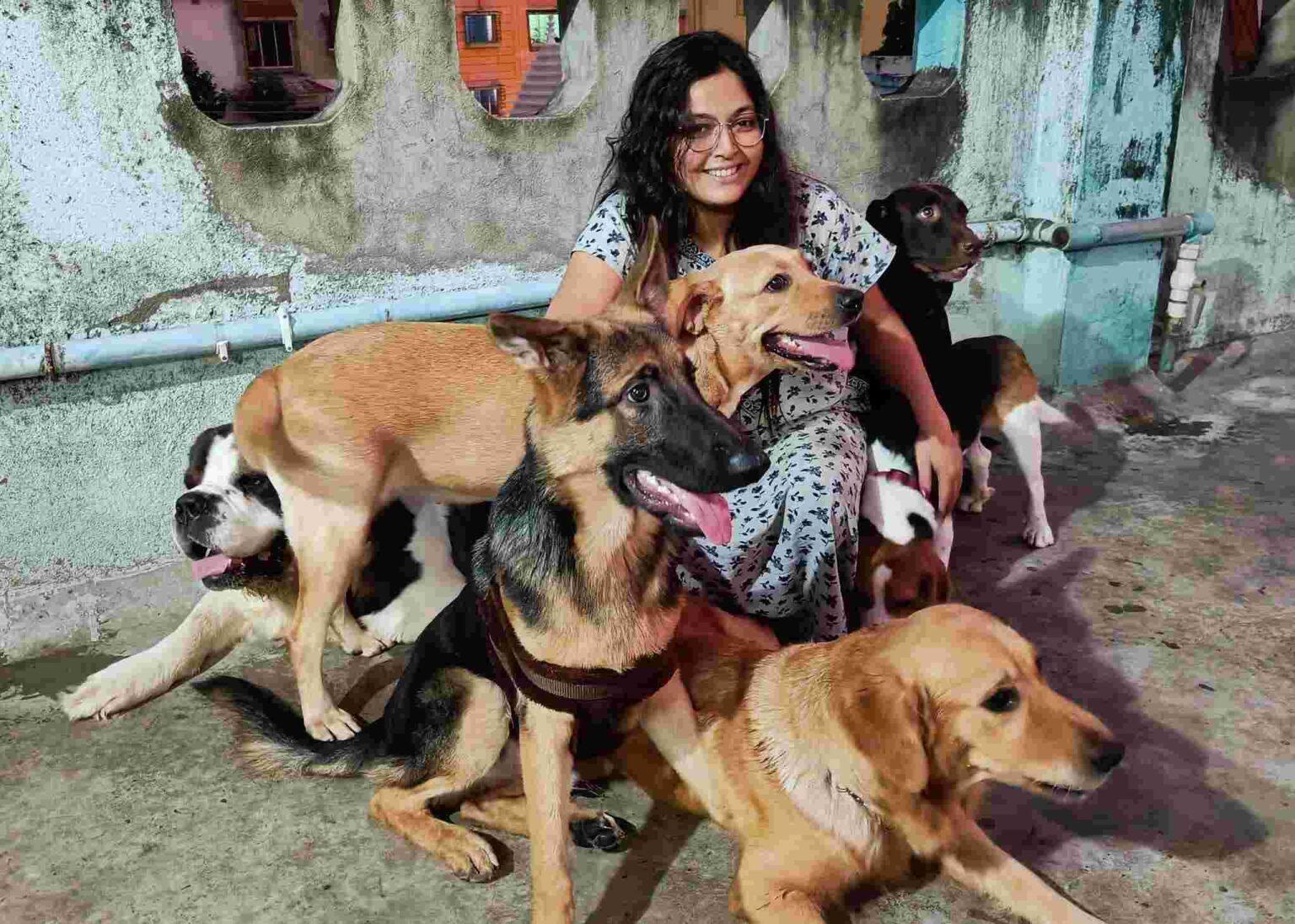 6 Best Dog & Pet Care Centers in Kolkata